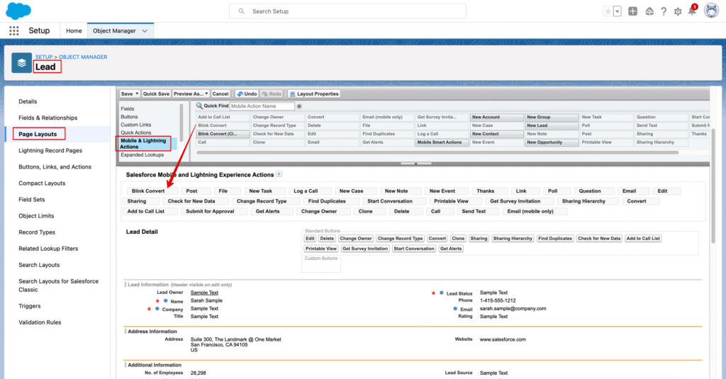 Tailoring Blink for Salesforce: Customize Your Conversion Process
