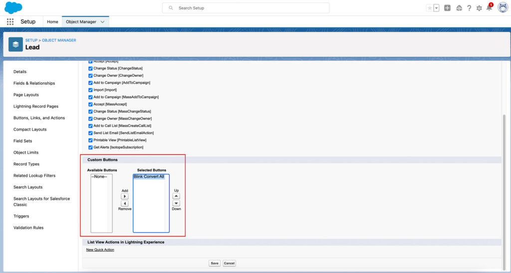 Tailoring Blink for Salesforce: Customize Your Conversion Process