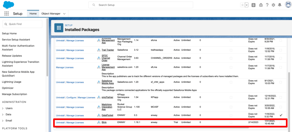 Installation of Blink: Your guide to Salesforce Mass Conversion